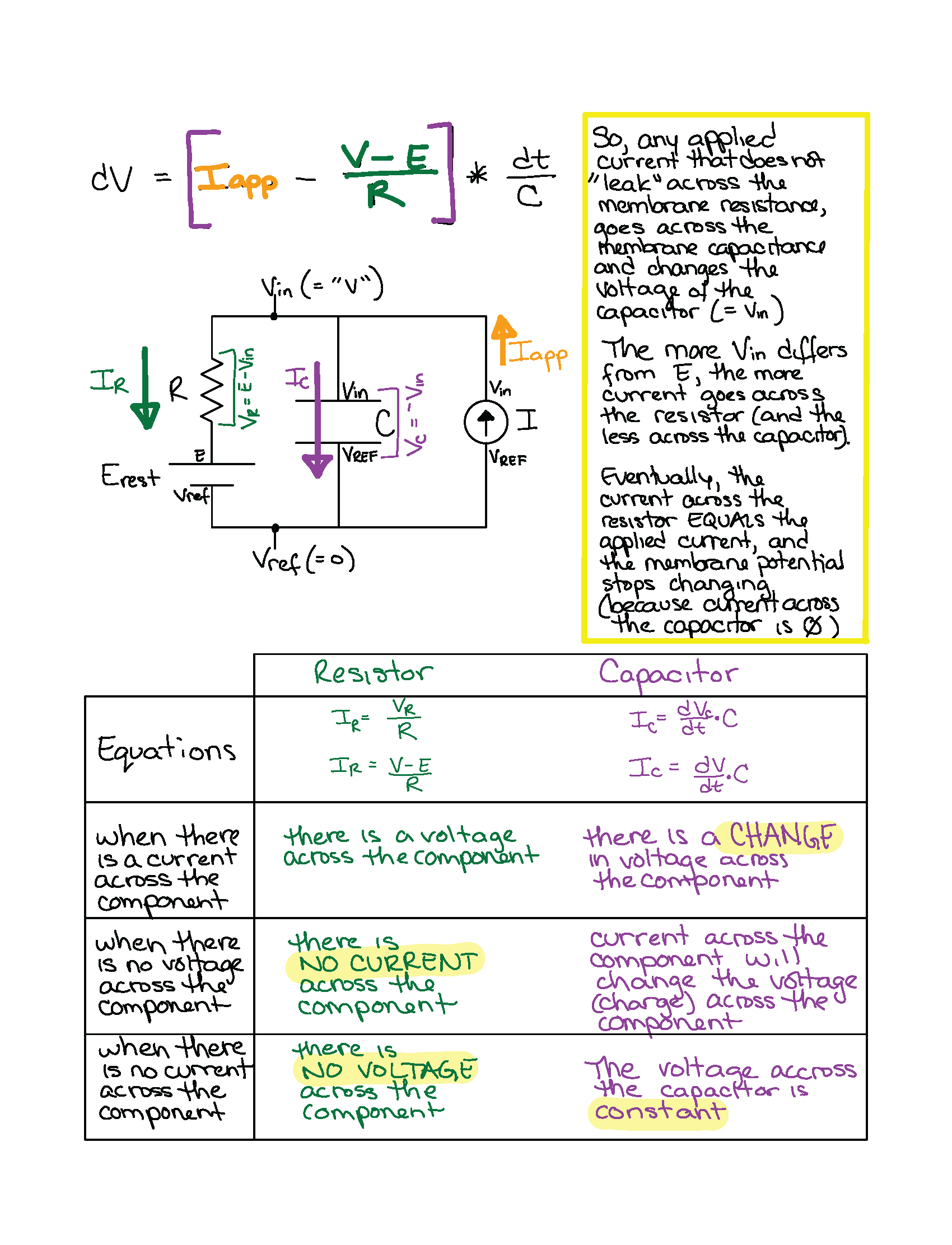 Electrical Circuit Analysis Neurophysiology Lab Electrical Circuit Analysis Neurophysiology Lab