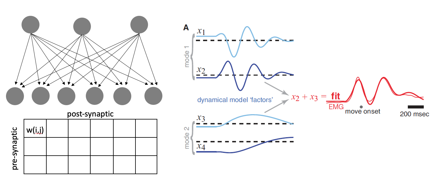 Syllabus — Biology of Electricity