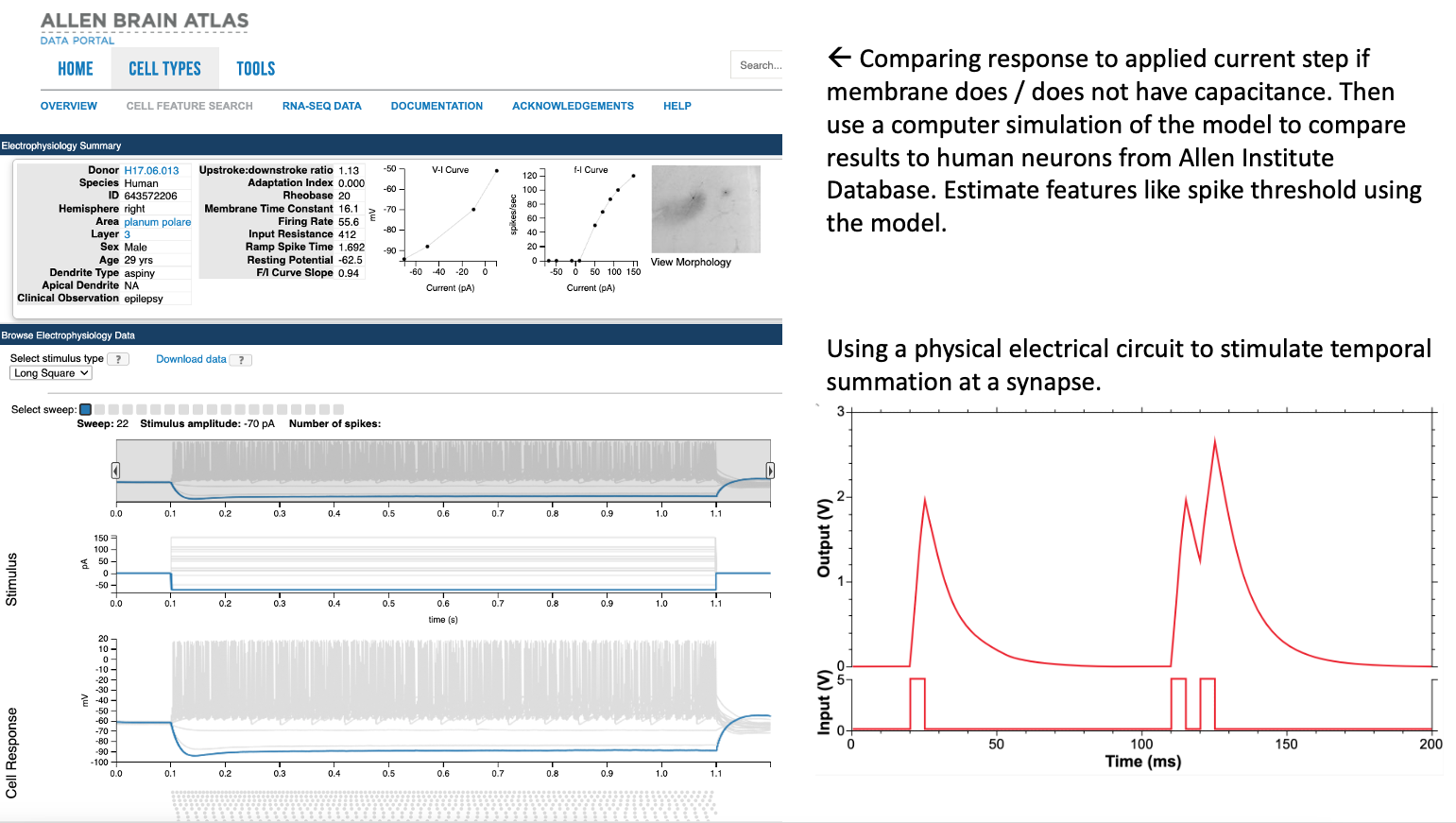 Syllabus — Biology of Electricity